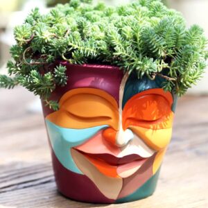 gugugo abstract rainbow head planter, unique face plant pot with drainage, cute eclectic flower planters pots for indoor & outdoor plants, colorful funny room decor