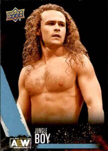 2021 upper deck all elite wrestling aew #23 jungle boy official trading card