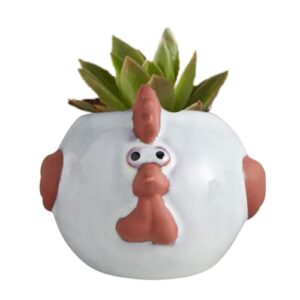 needzo round succulent planter farmhouse chic ceramic pig shaped plant holder, home garden office desktop decoration small flower pot, 2.8 inches