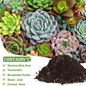 Halatool 6 QT Organic Top Soil Garden Succulent Soil for Indoor & Outdoor Plants Bonsai Cactus Soil Potting Mix for Houseplants Flowers Vegetables & Herbs