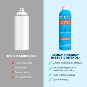 Safer Brand Safer Home SH111 Indoor Ant, Roach, Spider, Fly, Silverfish & Flea Killer Spray – CFC Free Aerosol Made with Natural Oils – 13.25 oz, 13.25 Ounce (Pack of 1), Blue