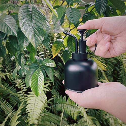 LOOPSEED Plant Mister Spray Bottle Stainless Steel Watering Can for Indoor Plants Bonsai Sprayer Succulent Spritzer Houseplant Atomizer Terrarium Mister Modern Garden Tools 10oz/300ml Black