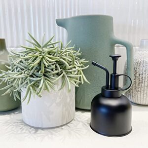 LOOPSEED Plant Mister Spray Bottle Stainless Steel Watering Can for Indoor Plants Bonsai Sprayer Succulent Spritzer Houseplant Atomizer Terrarium Mister Modern Garden Tools 10oz/300ml Black