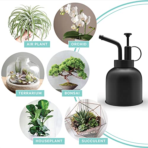 LOOPSEED Plant Mister Spray Bottle Stainless Steel Watering Can for Indoor Plants Bonsai Sprayer Succulent Spritzer Houseplant Atomizer Terrarium Mister Modern Garden Tools 10oz/300ml Black