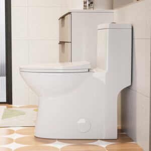 DeerValley Symmetry One Piece Toilet, Dual Flush 1.1/1.6 GPF Elongated Standard Toilet for Bathroom, Toilets with Comfortable Seat Height (Seat Included) (White)