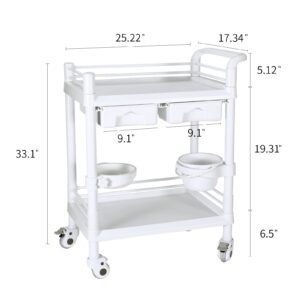 2 Tier Medical Beauty Cart, Heavy Duty Salon Trolley with 360° Swivel Wheels and Dirt Bucket Drawer Storage Organizer for Hospital Dental Clinic Spa Esthetician