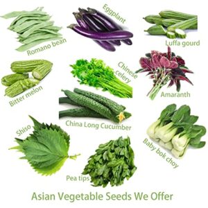 For 2024! 200 Perilla Seeds,Non GMO Seeds for Sprouting, Heirloom Vegetable Seeds for Planting. Great Hydroponic Seeds for Pods(Egoma/Sesami Herb Seeds #2,Perilla 紫苏,Green-1g,200 Seeds)