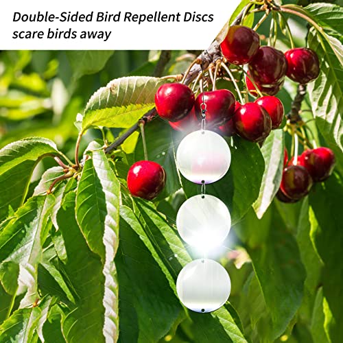 Hedoc Bird Repellent Scare Discs - Large Reflective Bird Deterrent Control Device - Keeps Woodpeckers and Birds Away (8 Pack)