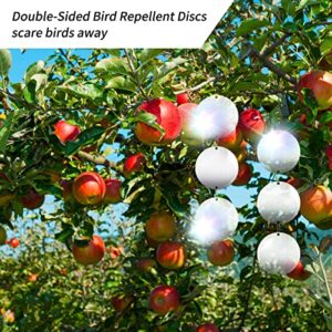 Hedoc Bird Repellent Scare Discs - Large Reflective Bird Deterrent Control Device - Keeps Woodpeckers and Birds Away (8 Pack)