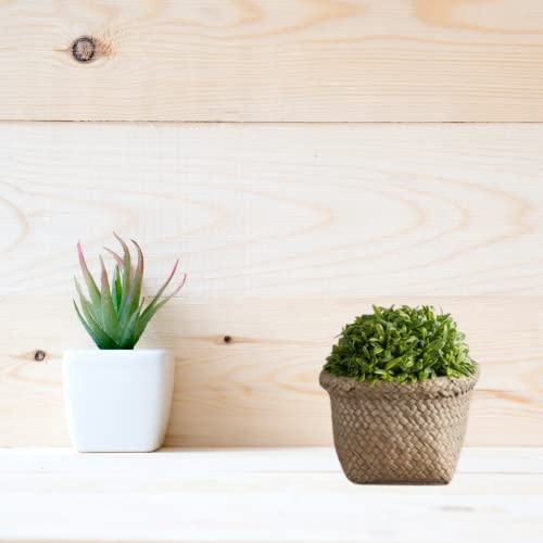 Small Brown Basket Weave Cement Planter Pot, Planters for Succulents, Cacti, Flowers, and More, Houseplant Pots for Indoor and Outdoors, Unique Gifts for Gardeners and Plant Lovers, 4.33 Inches