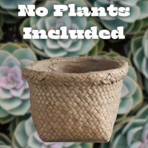 Small Brown Basket Weave Cement Planter Pot, Planters for Succulents, Cacti, Flowers, and More, Houseplant Pots for Indoor and Outdoors, Unique Gifts for Gardeners and Plant Lovers, 4.33 Inches