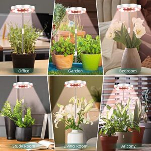 Grow Light Full Spectrum Plant Light for Indoor Plants, Height Adjustable Growing Lamp with Auto On/Off Timer 3/9/12H, 10 Dimmable Levels, 3 Light Modes Small Plant Grow Light