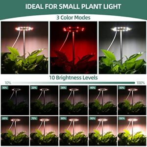 Grow Light Full Spectrum Plant Light for Indoor Plants, Height Adjustable Growing Lamp with Auto On/Off Timer 3/9/12H, 10 Dimmable Levels, 3 Light Modes Small Plant Grow Light