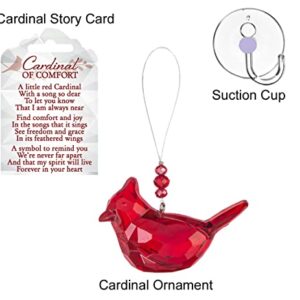 Cardinal of Comfort Visitor from Heaven Sympathy Gift Set Memorial Cardinal Gifts Bereavement Gifts Remembrance Gift for Loss of Father, Mom, Sister - Red Bird Crystal Window Décor