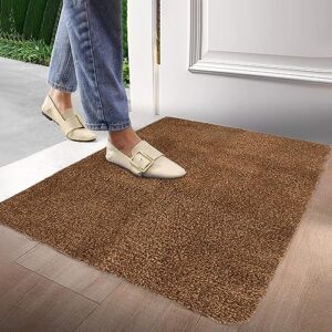 RugMast Indoor Door Mat for Entryway, 20" x 30" Washable, Non Slip Super Absorbent Microfiber Rugs for Entryway, Low Profile