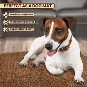 RugMast Indoor Door Mat for Entryway, 20" x 30" Washable, Non Slip Super Absorbent Microfiber Rugs for Entryway, Low Profile