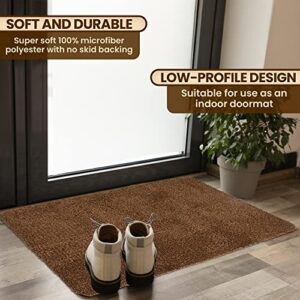 RugMast Indoor Door Mat for Entryway, 20" x 30" Washable, Non Slip Super Absorbent Microfiber Rugs for Entryway, Low Profile