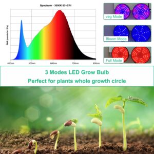 6-Set Seed Starter Kit with Grow Light - 12 Cells Seed Starter Trays with Humidity Dome and Seed Tray for Indoor Gardening Plant Seedling Germination Growing Propagation Kit