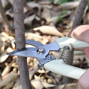 Pruning Shears Garden Scissors, Precision Bud Trimmer, Stainless Steel Blades, Shock-Absorbent Spring for Plant Trimming, Orchid Bark, Weed, Bonsai, Indoor or Outdoor Gardening Trimmer (2PC)