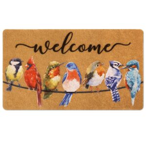 birds on wires welcome doormat, durable bird welcome rug indoor outdoor hummingbird cardinal robin non-slip rug for entryway, porch, patio, garage - 17 x 30 inch