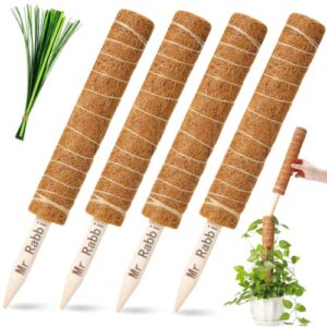 mr rabbi - 47.6 inch moss pole for plants monstera, 4 pack 15.7 inch coco coir moss poles for climbing plants with 80pcs garden ties - plant support extension to grow upwards