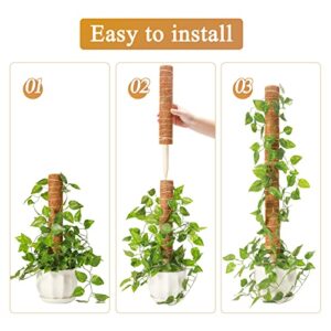 Mr Rabbi - 47.6 Inch Moss Pole for Plants Monstera, 4 Pack 15.7 Inch Coco Coir Moss Poles for Climbing Plants with 80pcs Garden Ties - Plant Support Extension to Grow Upwards