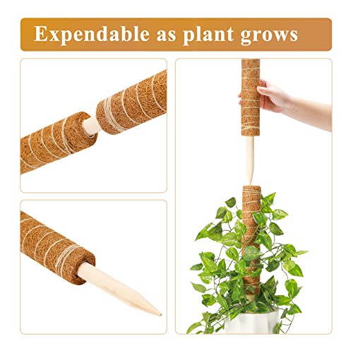 Mr Rabbi - 47.6 Inch Moss Pole for Plants Monstera, 4 Pack 15.7 Inch Coco Coir Moss Poles for Climbing Plants with 80pcs Garden Ties - Plant Support Extension to Grow Upwards