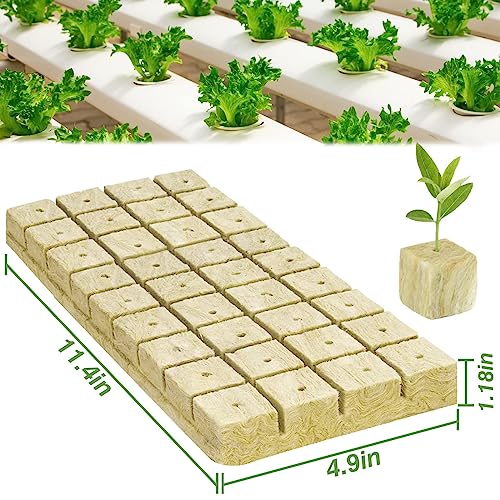 Halatool 1.2 inch Rockwool Cubes Garden Stonewool Grow Cubes Starter Plugs for Hydroponics Soilless Cultivation Seedlings Cuttings Clone Plants (4 Sheets, 144 Plugs in Total)