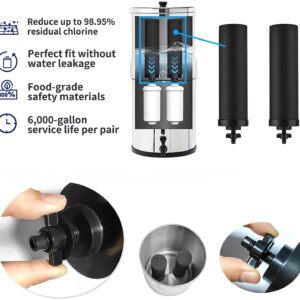 KrohneTec BB9-2 Water Filters Black Purification Elements, for use with Gravity-Fed Water Filter Systems (2 Pack)