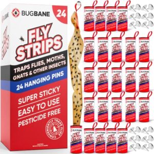 24 fly strips indoor sticky hanging with pins. paper tape for indoors and outdoor. catcher ribbon traps flypaper. fruit gnat