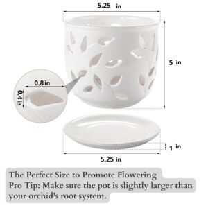 VEBAVO Large Ceramic Orchid Pot with Holes & Saucer 5.25 in. Indoor or Outdoor Pot for Orchid Care & Root Health with Precise Aeration & Drainage – Durable for Repotting or New Plants