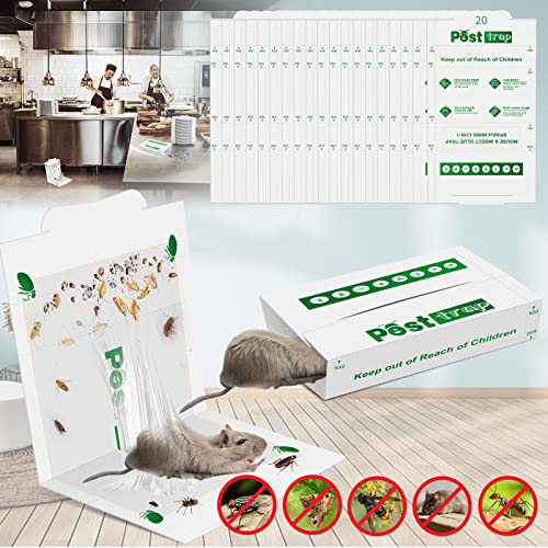 Protecker Super Sticky Glue Traps Bugs Mice Pest Control, Mouse Traps Indoor Home No Kill Safe Pets Strong Enough,Insect Snap Trap Sticky Indoor Glue Boards Easy to Use Around The House,20PCS