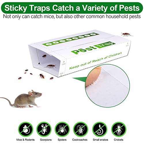 Protecker Super Sticky Glue Traps Bugs Mice Pest Control, Mouse Traps Indoor Home No Kill Safe Pets Strong Enough,Insect Snap Trap Sticky Indoor Glue Boards Easy to Use Around The House,20PCS