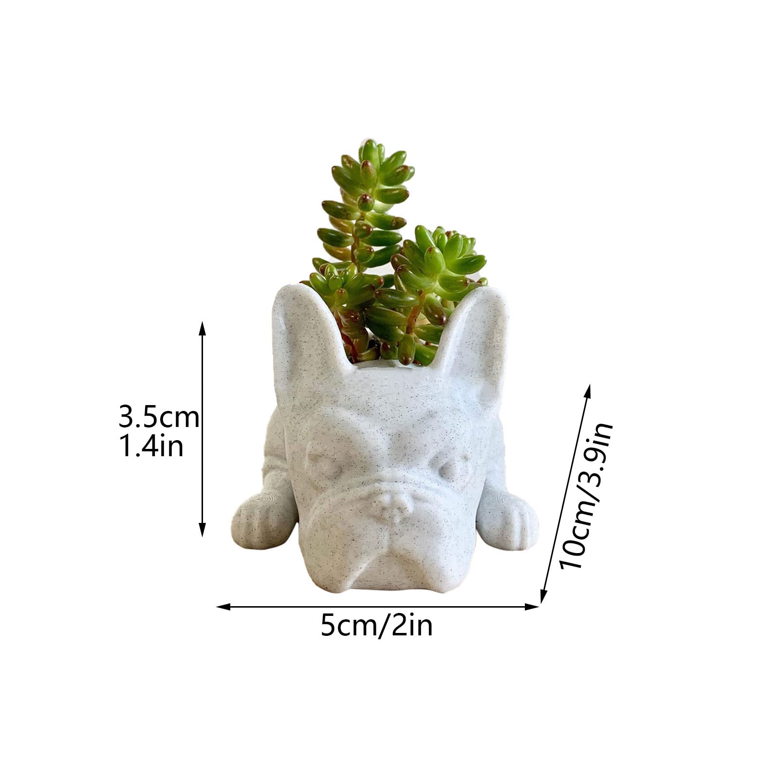 MISNODE Succulent Planter Pots, Cute Dog Flower Pots Air Plant Holder, French Bulldog Shape Resin Succulent Planter Desktop Plant Pot Bonsai for Home Garden Office Tabletop Decor