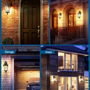 DEWENWILS Motion Sensor Outdoor Wall Lights Dusk to Dawn Exterior Light Fixture Wall Mount, Outdoor Porch Light with Water Ripple Glass, Wall Sconce Lantern for House Garage Patio