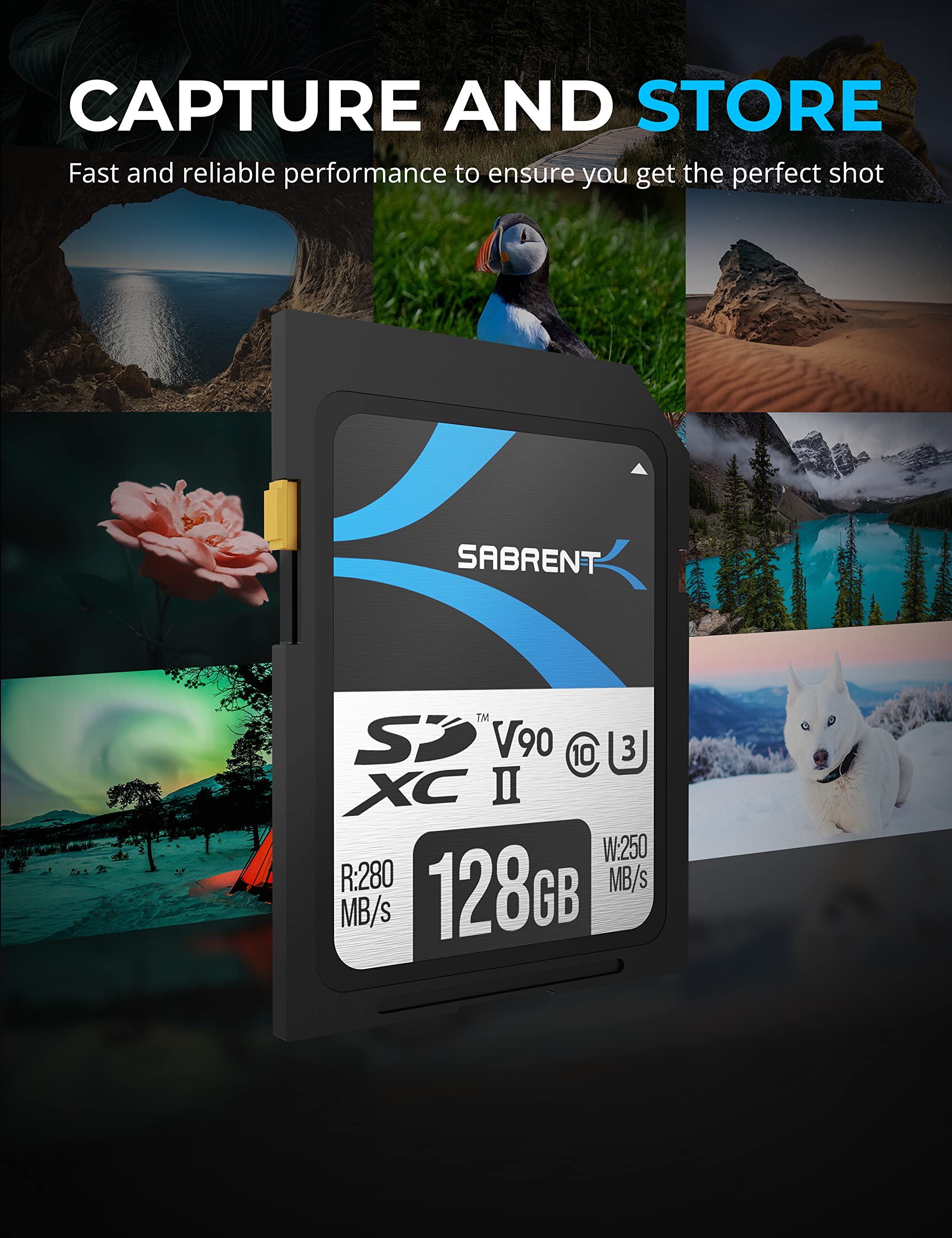 SABRENT Rocket v90 128GB SD UHS-II Memory Card R280MB/s W250MB/s (SD-TL90-128GB)