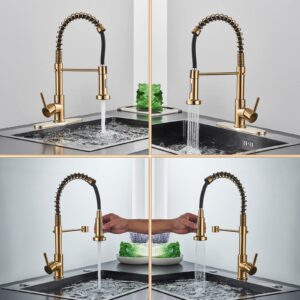 DanPiang Gold Kitchen Faucet,Commercial Stainless Steel Single Handle Pull Down Kitchen Sink Faucet with Deck Plate,Brushed Gold