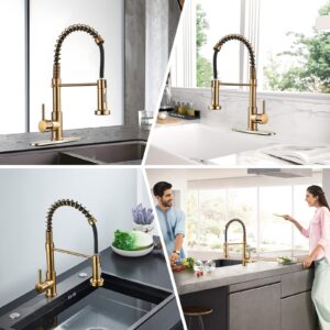 DanPiang Gold Kitchen Faucet,Commercial Stainless Steel Single Handle Pull Down Kitchen Sink Faucet with Deck Plate,Brushed Gold