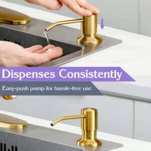 Hoanmpy Soap Dispenser for Kitchen Sink Brushed Gold, Built in Stainless Steel Kitchen Soap Dispenser, Refill from The Top,in Counter Kitchen Sink Soap Dispenser,17 oz