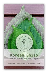 gaea's blessing seeds - korean shiso seeds (perilla), heirloom non-gmo seeds with easy to follow planting instructions, korean perilla, open-pollinated, 94% germination rate