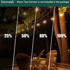 ACOHOOK 100FT Globe Outdoor Lights String, Dimmable LED Patio String Light with 34 G40 Shatterproof Plastic Bulbs, Waterproof Commercial Hanging Lights for Outside Party Porch Backyard Bistro