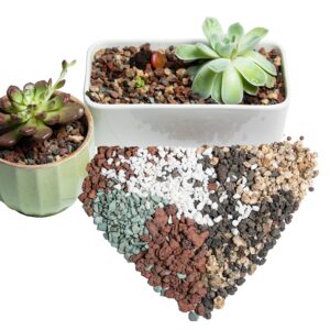 Bonsai Succulent Soil Potting Mix Ready to use Azalea Orchid Grow Potting Soil Plant Decorative Cover for Cactus 2.2LB Perlite Pumice Lava Rocks for Plants