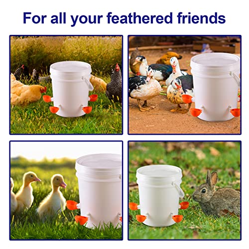 Large Automatic Chicken Waterer Cups (5 PCS-with Tee Fittings) Poultry Drinking Bowl for Chicks-Duck-Goose-Turkey-Bunny (Orange)