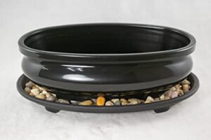 calibonsai 9'' oval heavy duty black plastic bonsai training pot, cactus & succulent planter + tray + rock + mesh combo