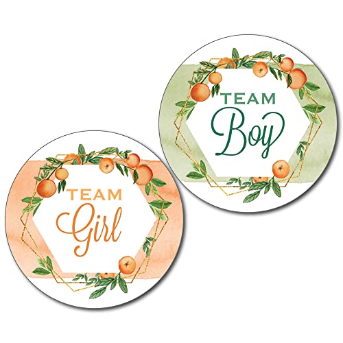 36 2.5-inch Little Cutie Gender Reveal Party Team Boy and Girl Stickers - Orange and Green