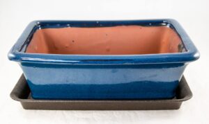 calibonsai rectangular glazed bonsai pot, cactus & succulent planter + tray + mesh 12 x 9 x 4 - dark blue stain