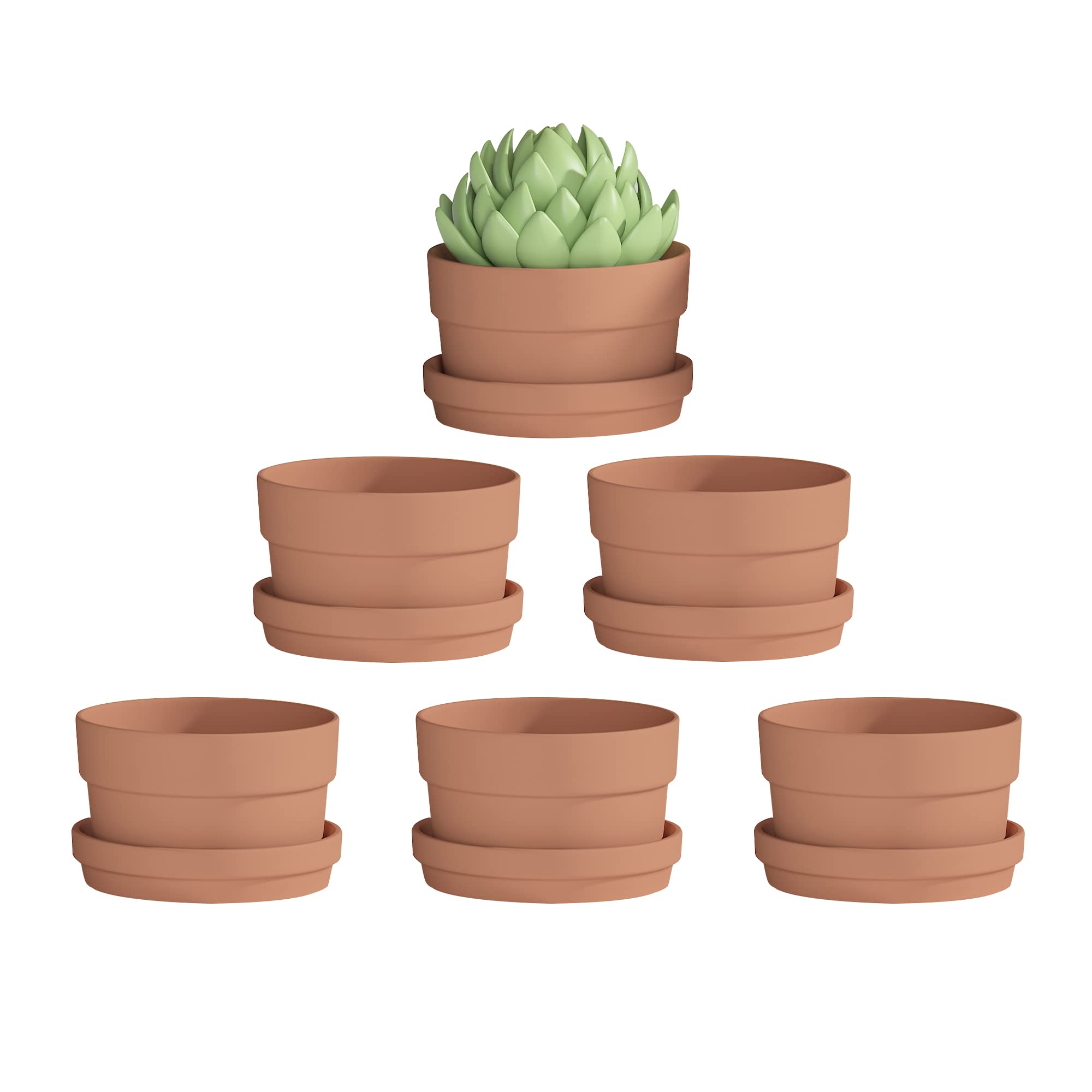 Fcacti 6 Pack 5 Inch Terracotta Shallow Succulent Pot - Terra Cotta Clay Pots with Saucer, Round Shallow Terra-Cotta Bonsai Pot with Drainage Hole for Indoor/Outdoor Plants