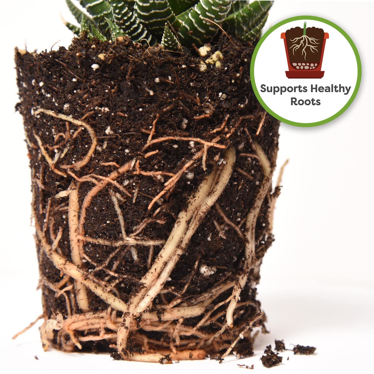 Perfect Plants Indoor Plant Soil 8qt | Perfectly Balanced Potting Mix | Gardening Substrate for All Varieties of Live houseplants