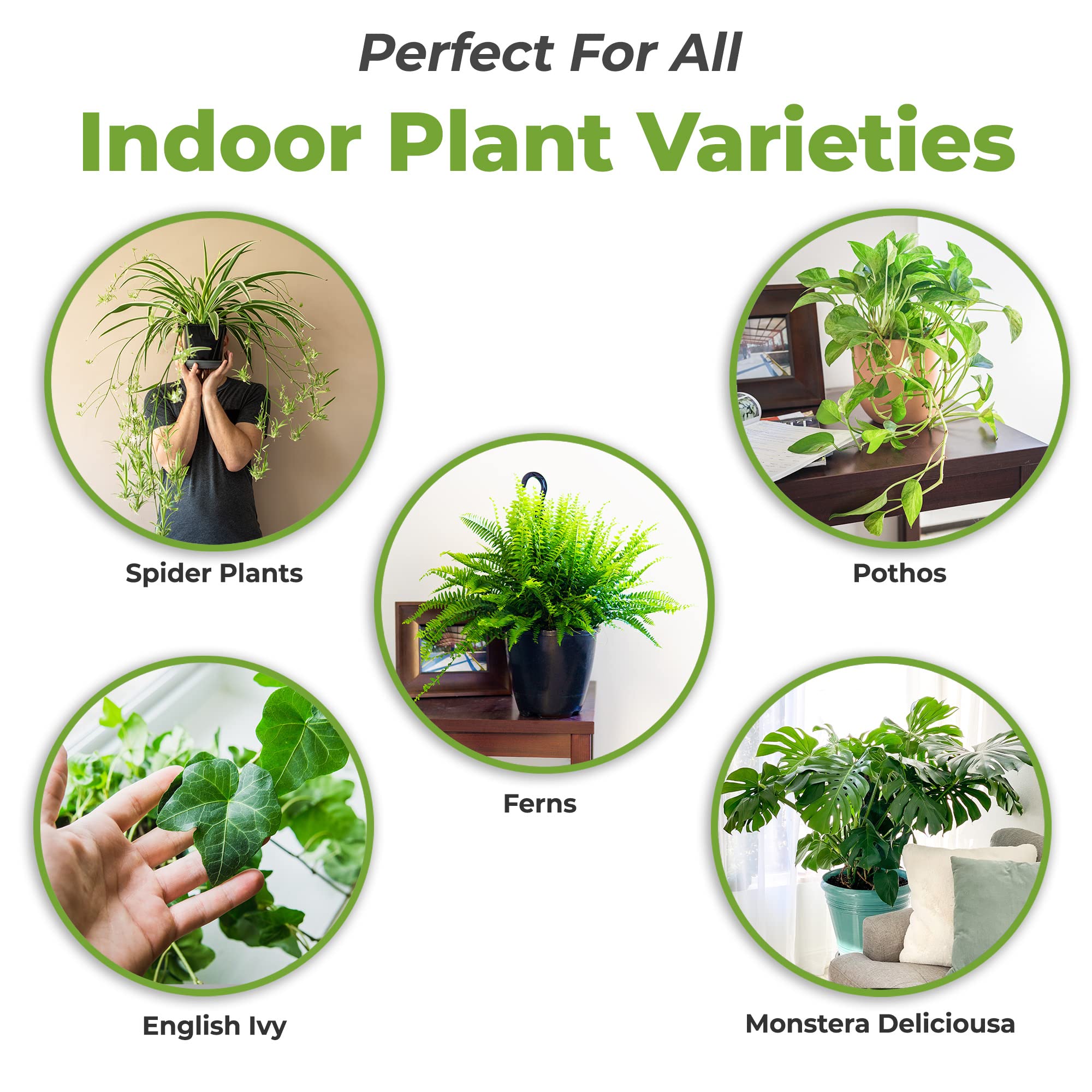 Perfect Plants Indoor Plant Soil 8qt | Perfectly Balanced Potting Mix | Gardening Substrate for All Varieties of Live houseplants