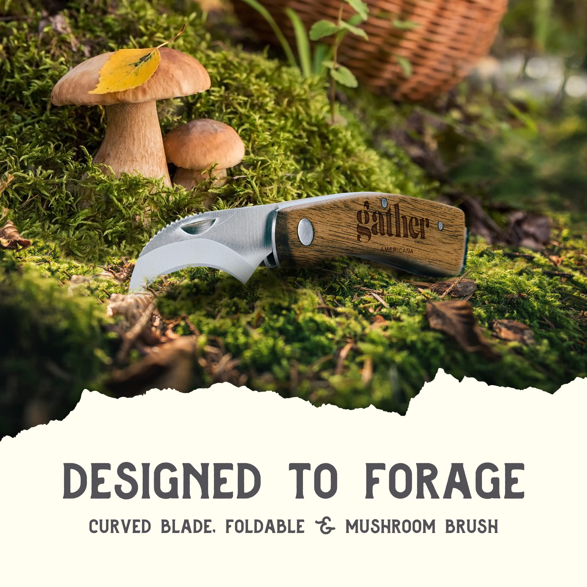 Gather Americana Mushroom Foraging Knife - 3 Inches High Carbon Steel Blade - Boar-Bristle Brush and Walnut Handle